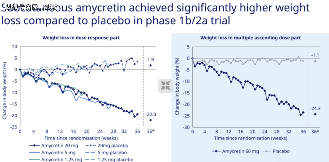 减重前沿 | 诺和诺德「Amycretin」二期临床数据公布，「双靶点」疗法再添新力_医美部落-权威的医美信息服务平台